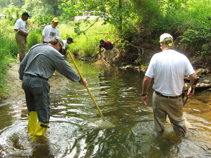 Reintroducing Native Fish to Sligo 2007 - Friends of Sligo Creek